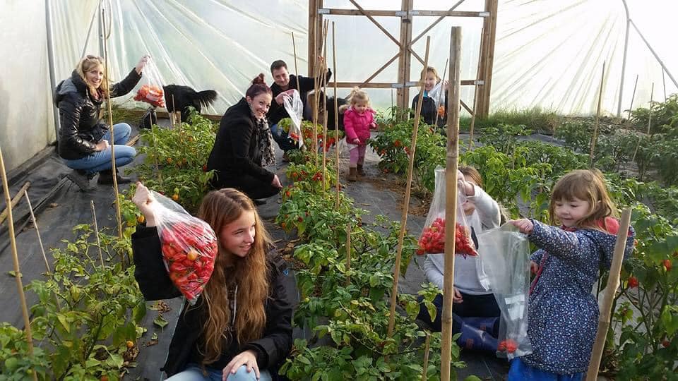 Upton Cheyney Chilli Company – Artisan Produce and Chilli Farm