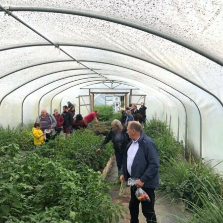 Farm Tours – Upton Cheyney Chilli Company